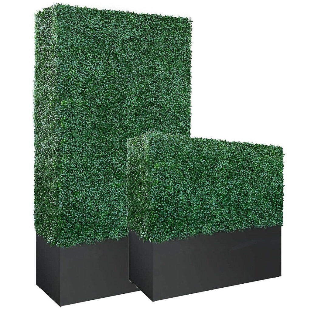Hedge Wall - Illusions Rentals